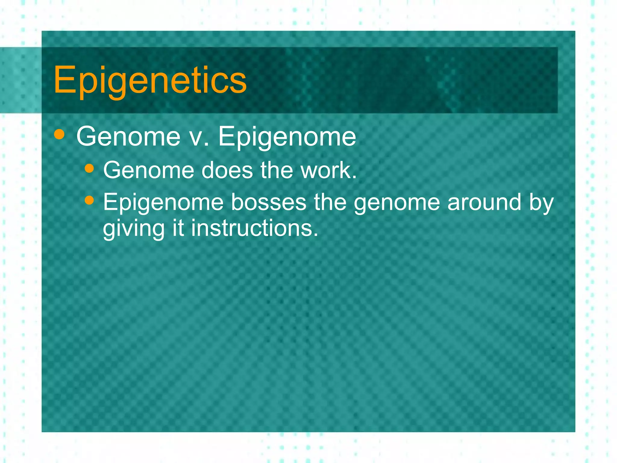 Epigenetics | PPT