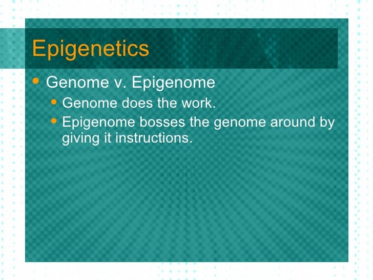 Epigenetics Fundamentals History And Examples What Is