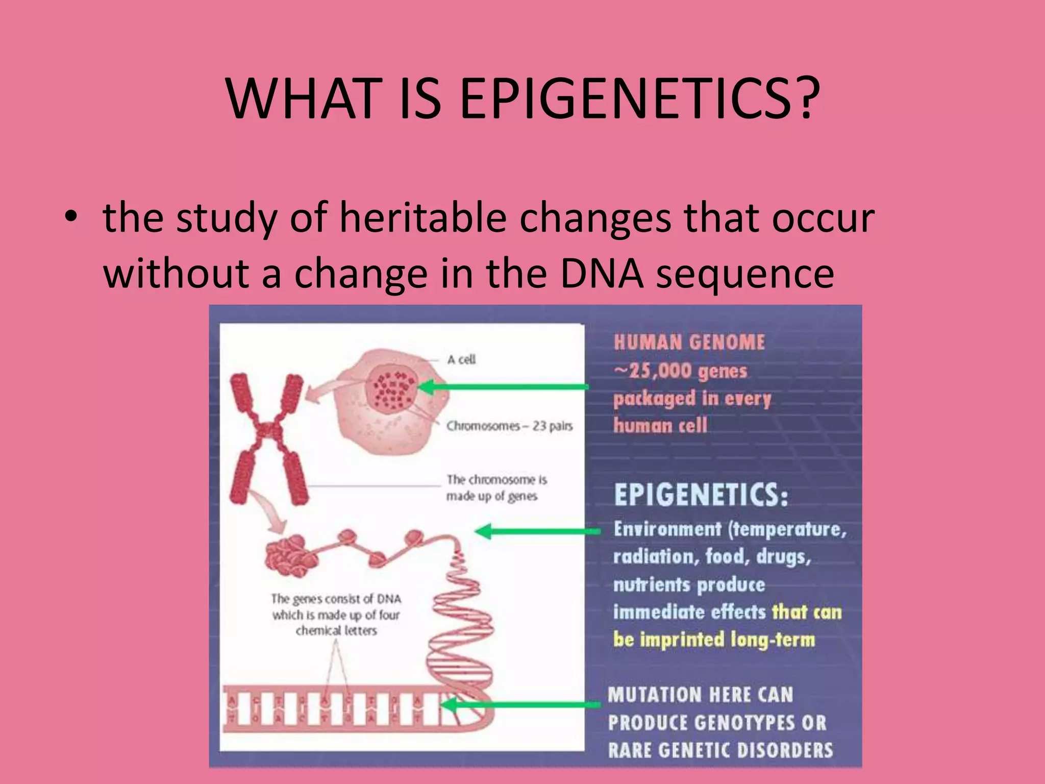 Epigenetics | PPTX