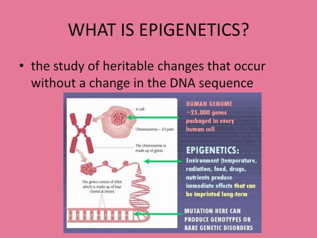 Epigenetics | PPTX