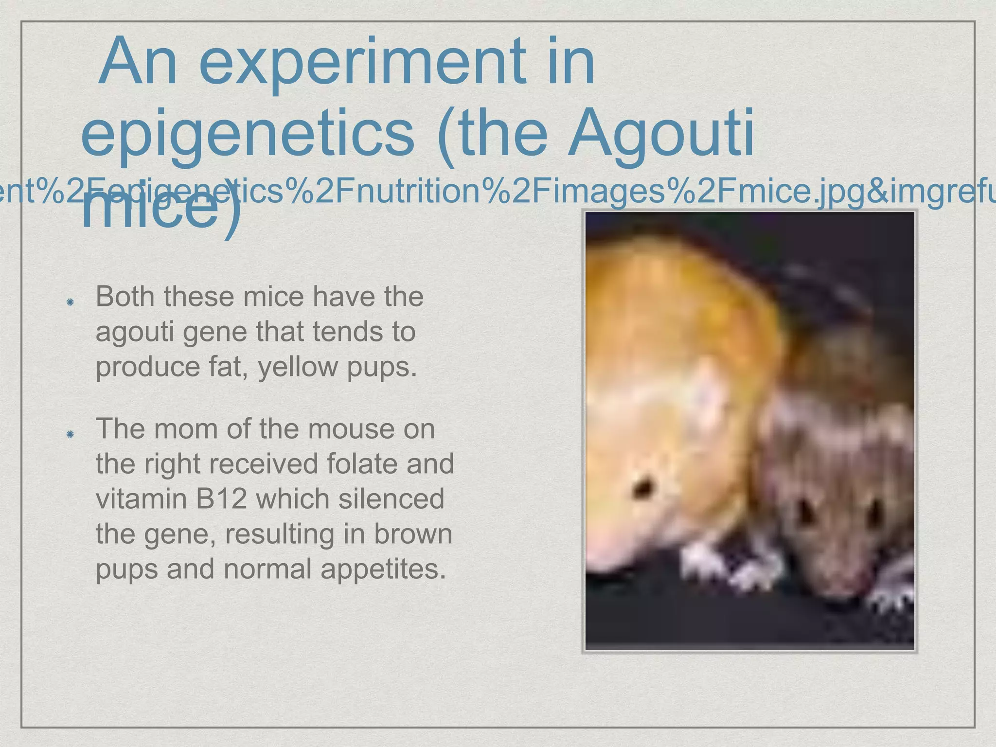 Epigenetics | PPTX
