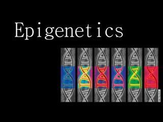 Epigenetics | PPTX