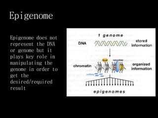 Epigenetics | PPTX