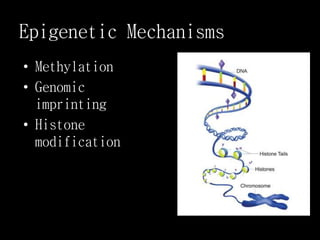 Epigenetics | PPTX