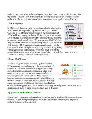 Epigenetics | PDF