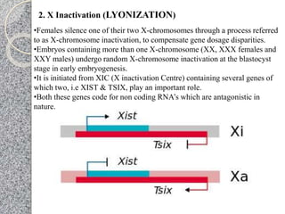 Epigenetics | PPTX