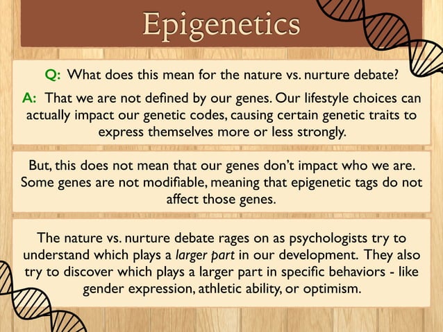 Epigenetics | PDF | Genetics | Science