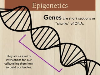 Epigenetics | PDF