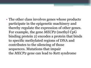 Epigenetics | PPT