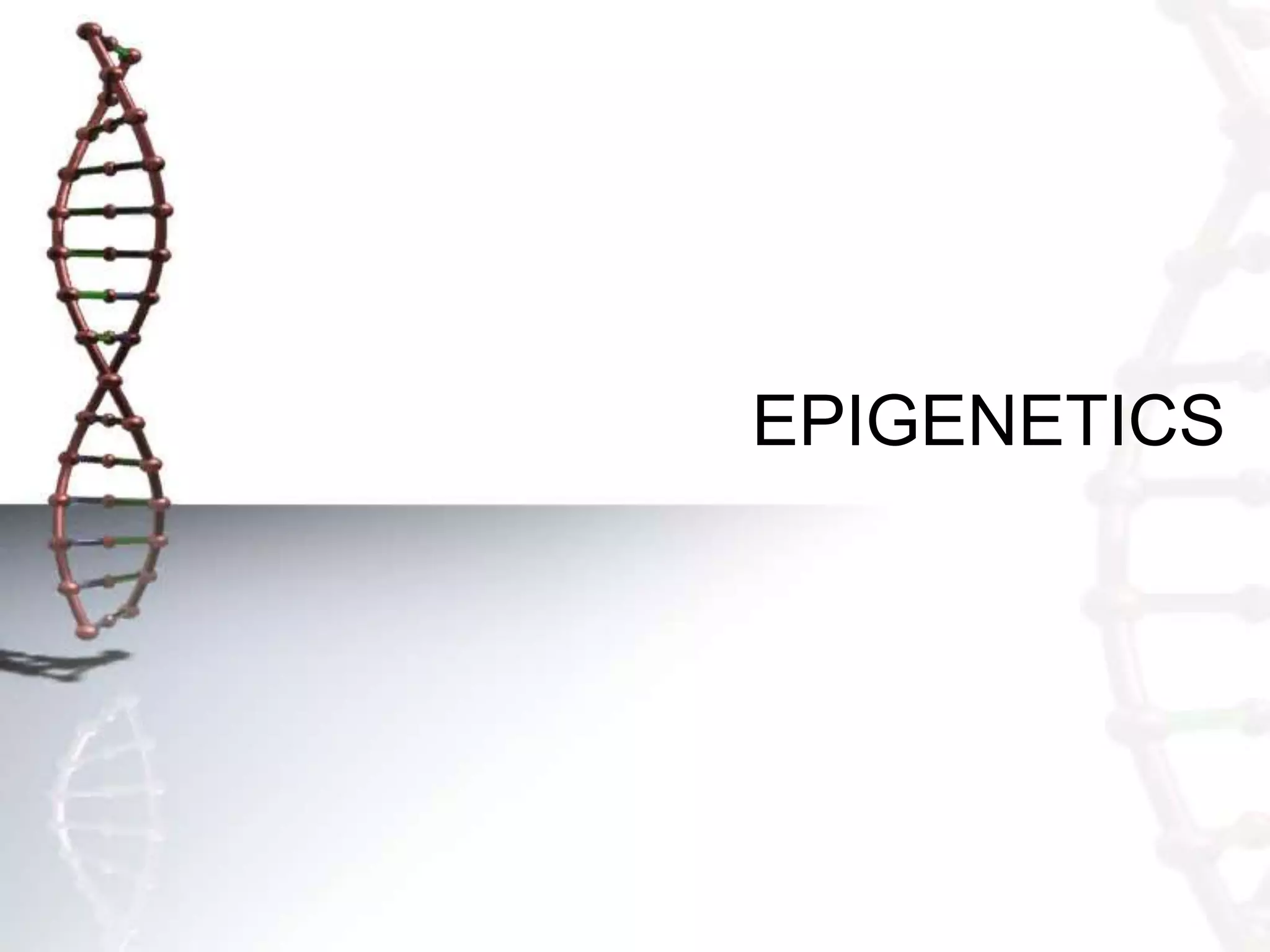 Epigenetics: Introduction and Definition and the mechanism | PPTX