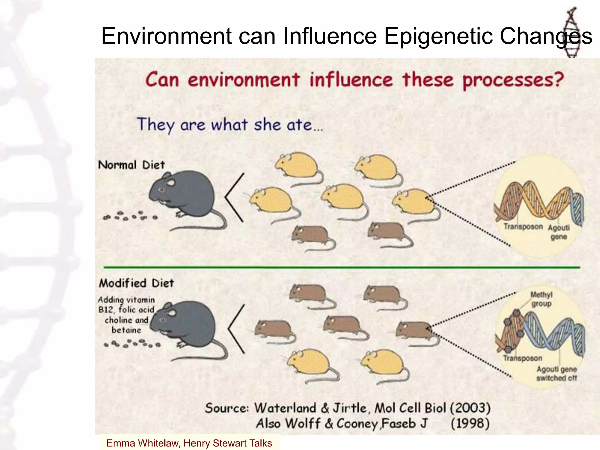 Epigenetics: Introduction and Definition and the mechanism | PPTX