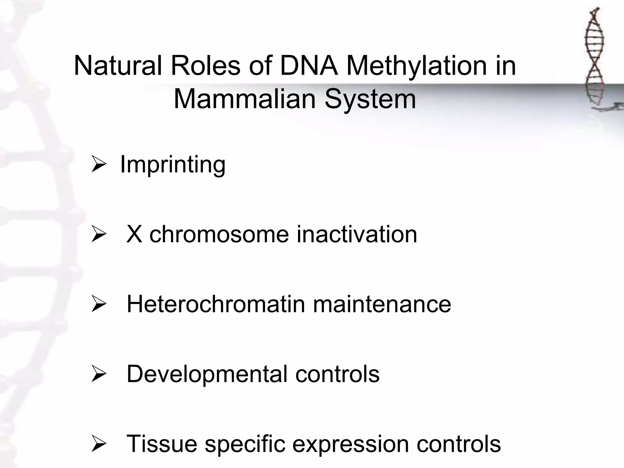 Epigenetics: Introduction and Definition and the mechanism | PPTX
