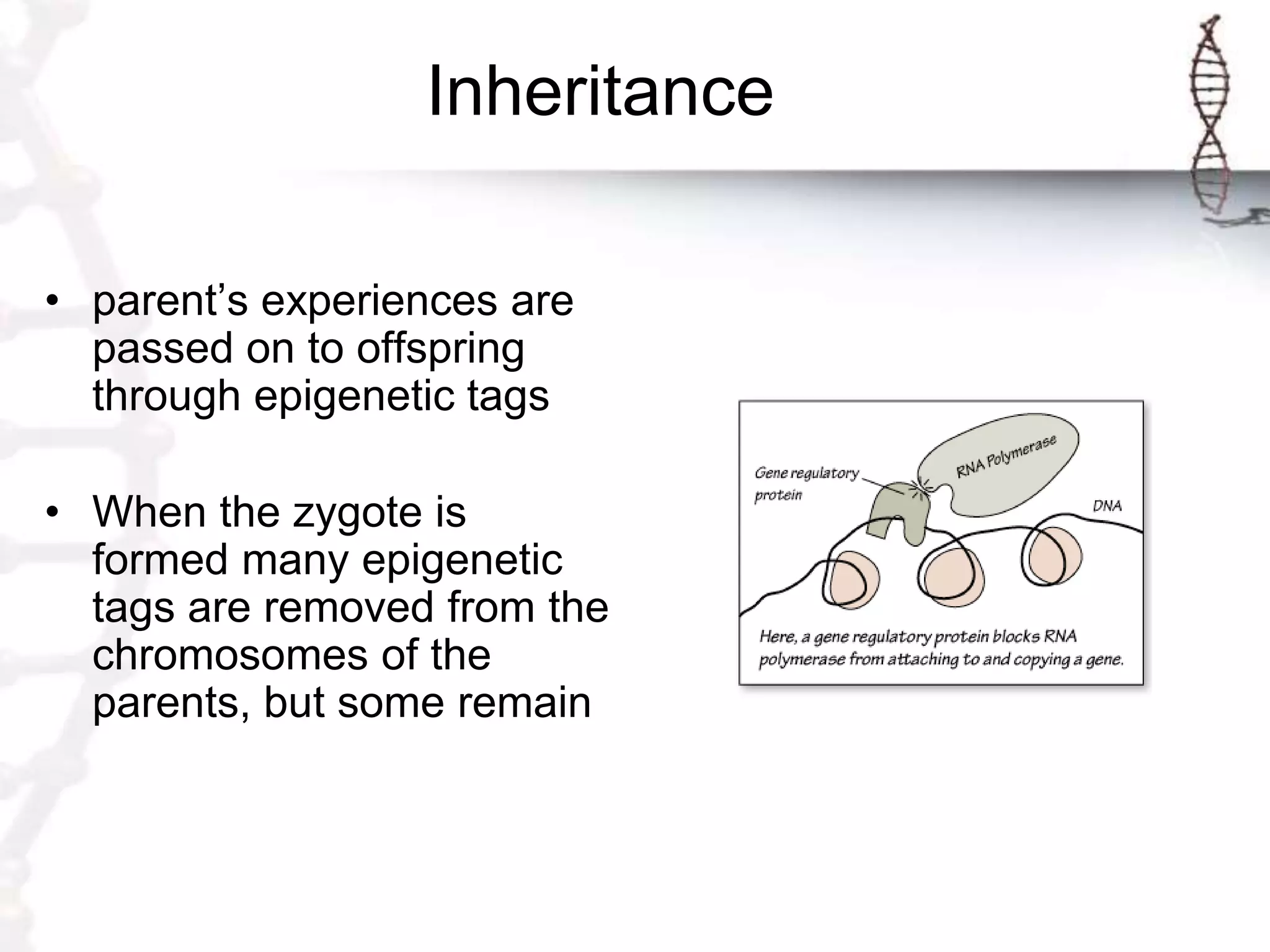 Epigenetics: Introduction and Definition and the mechanism | PPTX