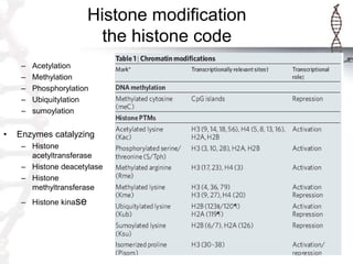 Epigenetics: Introduction and Definition and the mechanism | PPTX