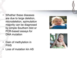 Epigenetics: Introduction and Definition and the mechanism | PPTX