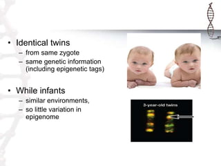 Epigenetics: Introduction and Definition and the mechanism | PPT