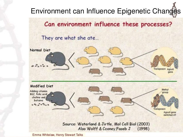 Epigenetics: Introduction and Definition and the mechanism
