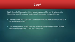 Epigenetics modification in fungi | PPT