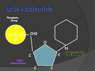 Epigenetics | PPTX