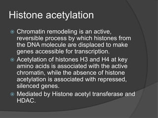 Epigenetics | PPTX