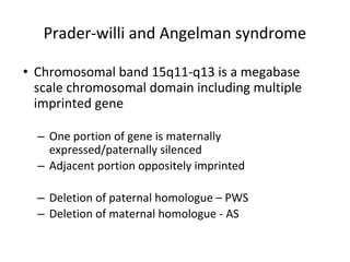 Epigenetics | PDF | Genetics | Science