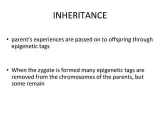 Epigenetics | PDF