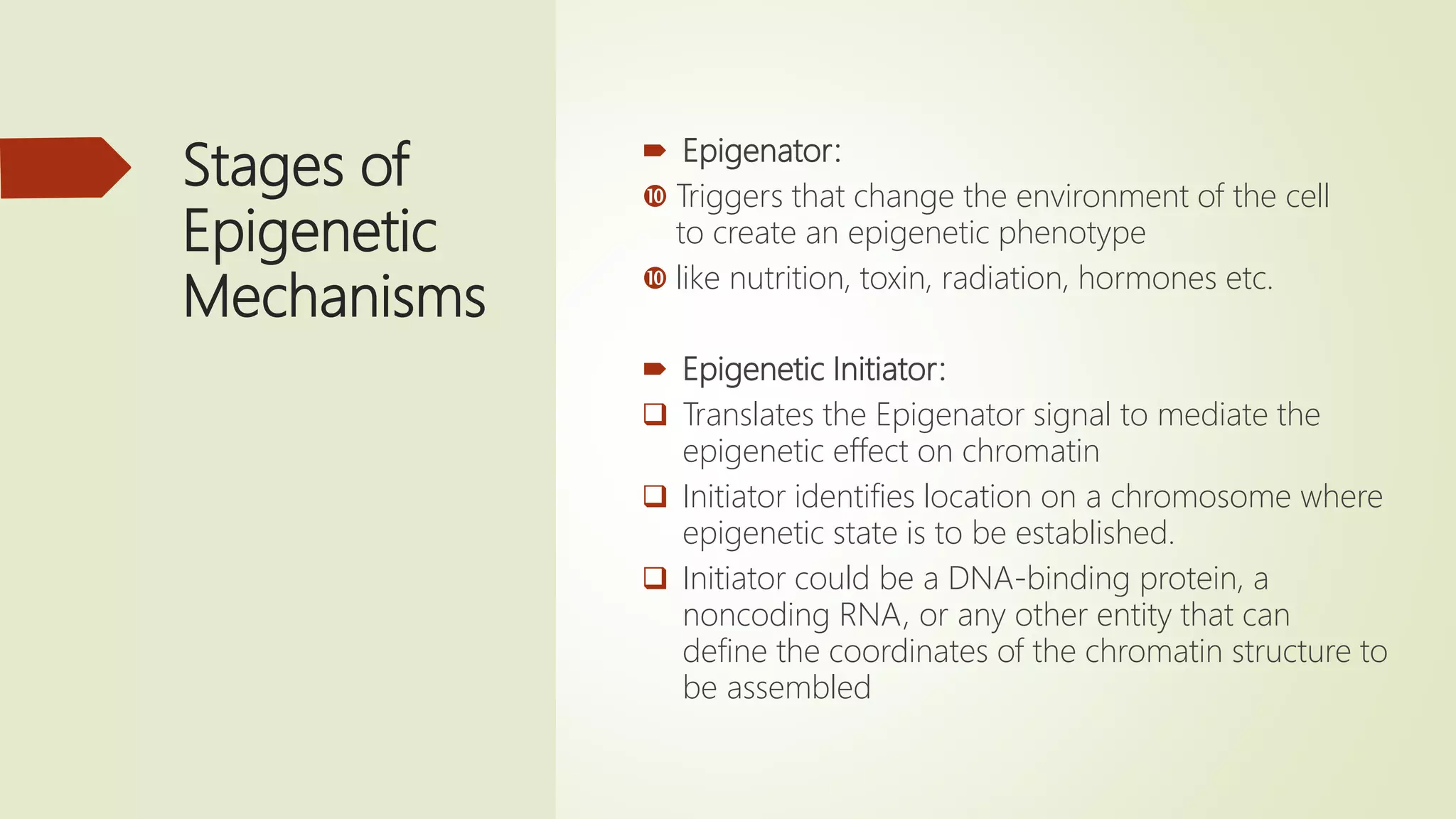 Epigenetics | PPTX
