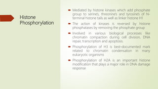 Epigenetics | PPT
