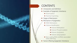 Epigenetics | PPTX