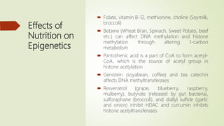 Epigenetics | PPTX
