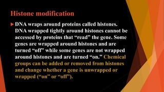 EPIGENETICS.pptx