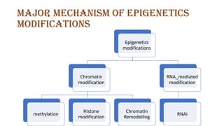 Epigenetics.pdf