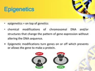 about Epigenetic and Dana and every happend | PPT