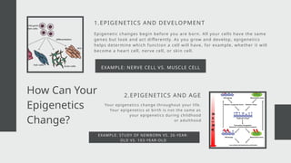 EVERYTHING ABOUT EPIGENETICS - BEYOND THE GENETIC CODE | PPTX