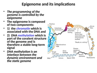 Epigenetics and its role in cancer biology | PPTX