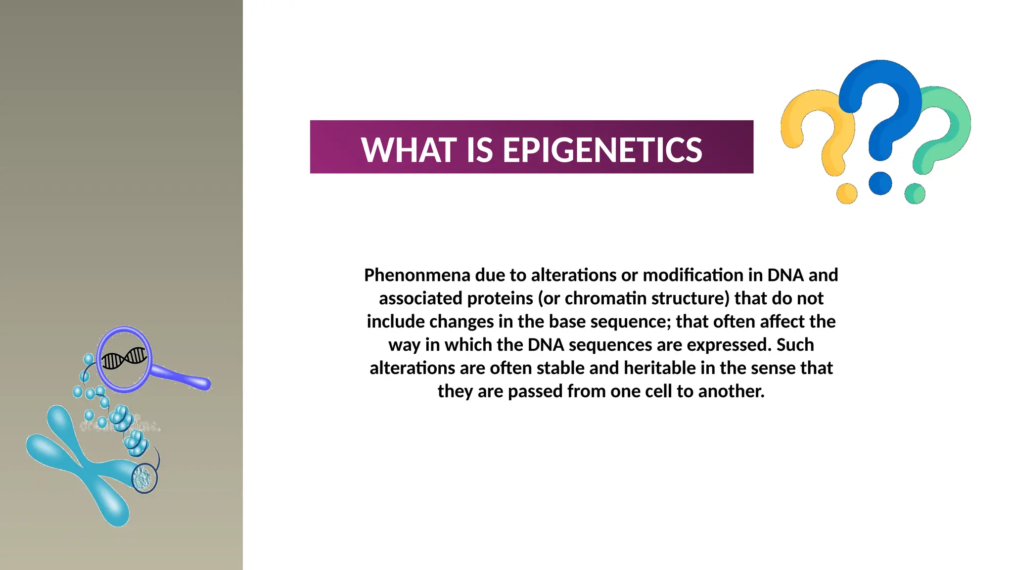 EPIGENETICS: MECHANISM, INHERITANCE AND DISEASES | PPTX