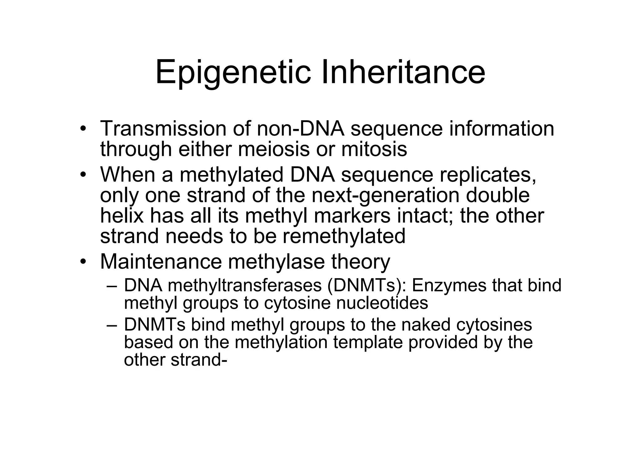 Epigenetics | PPT