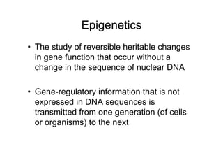 Epigenetics | PPT