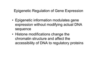 Epigenetics | PPT