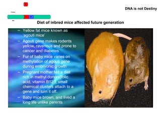 Epigenetics[1] | PPT