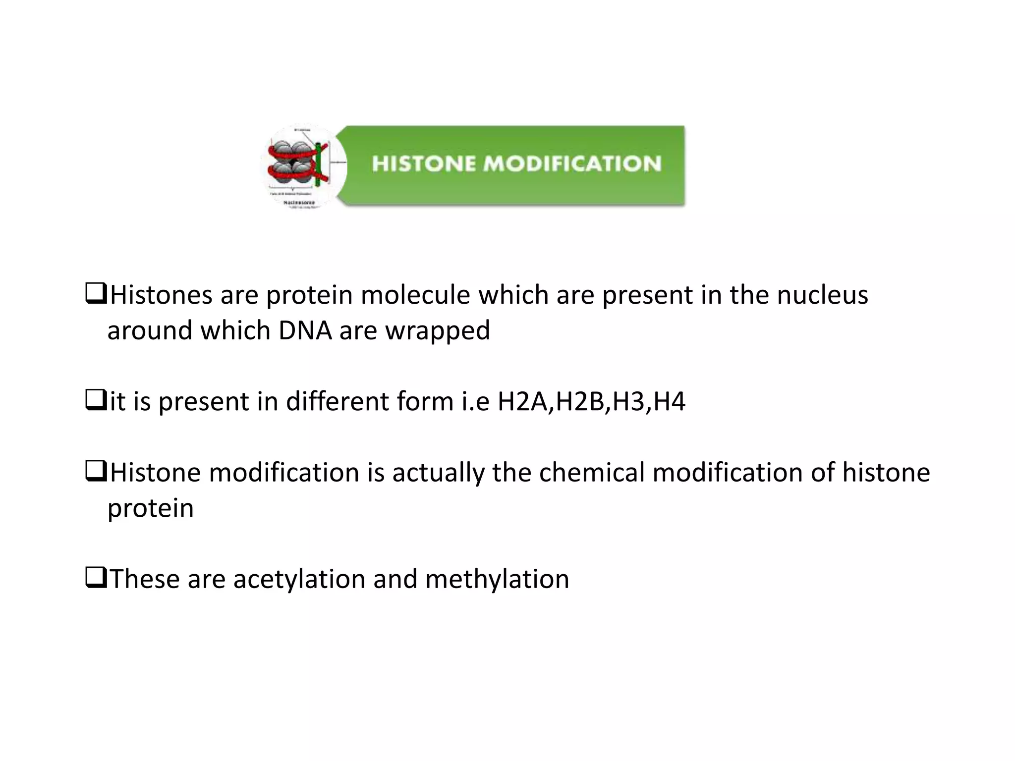 Epigenetics and The Molecular Mechanisms | PPTX | Genetics | Science
