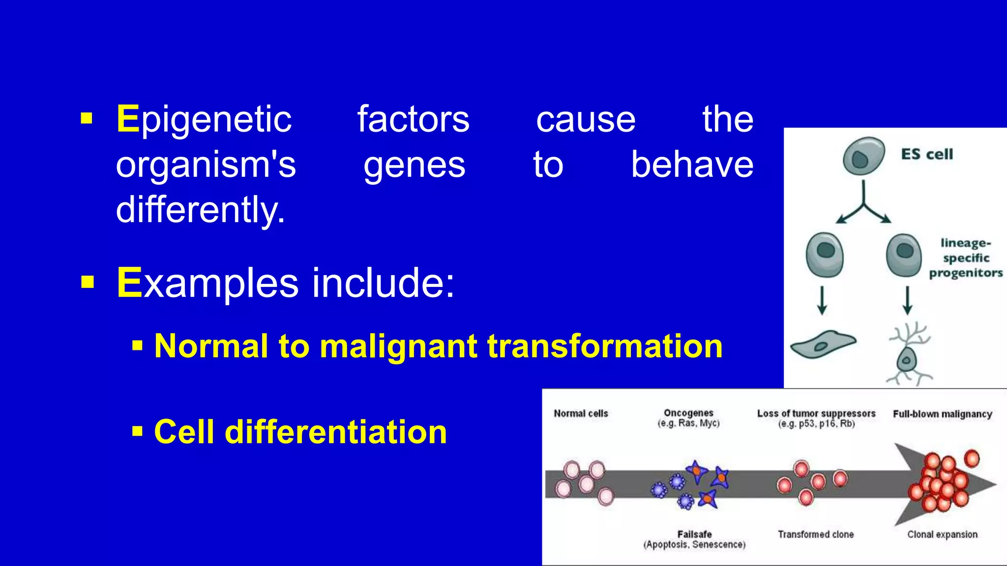 Epigenetics and genomic imprinting must | PPTX