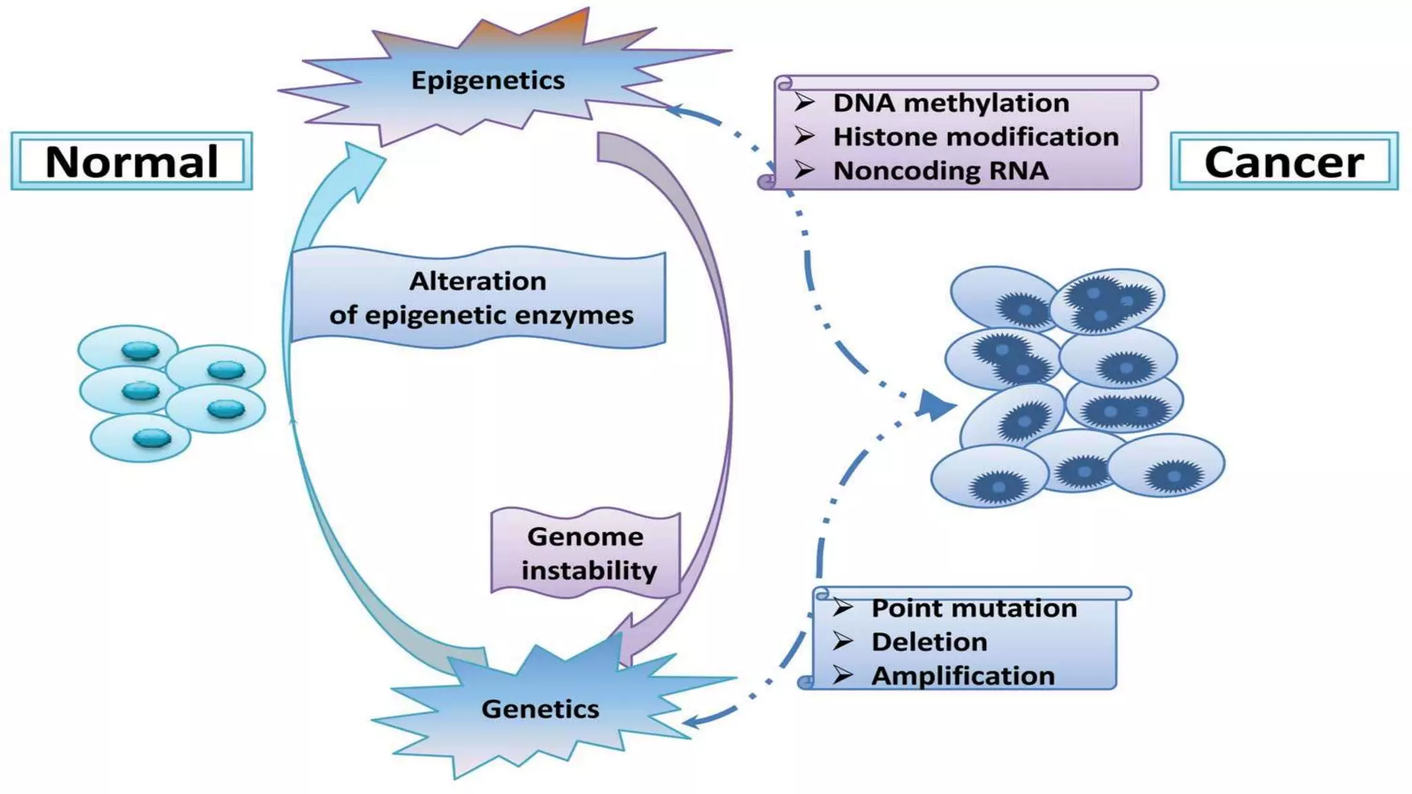 Epigenetics and genomic imprinting must | PPTX