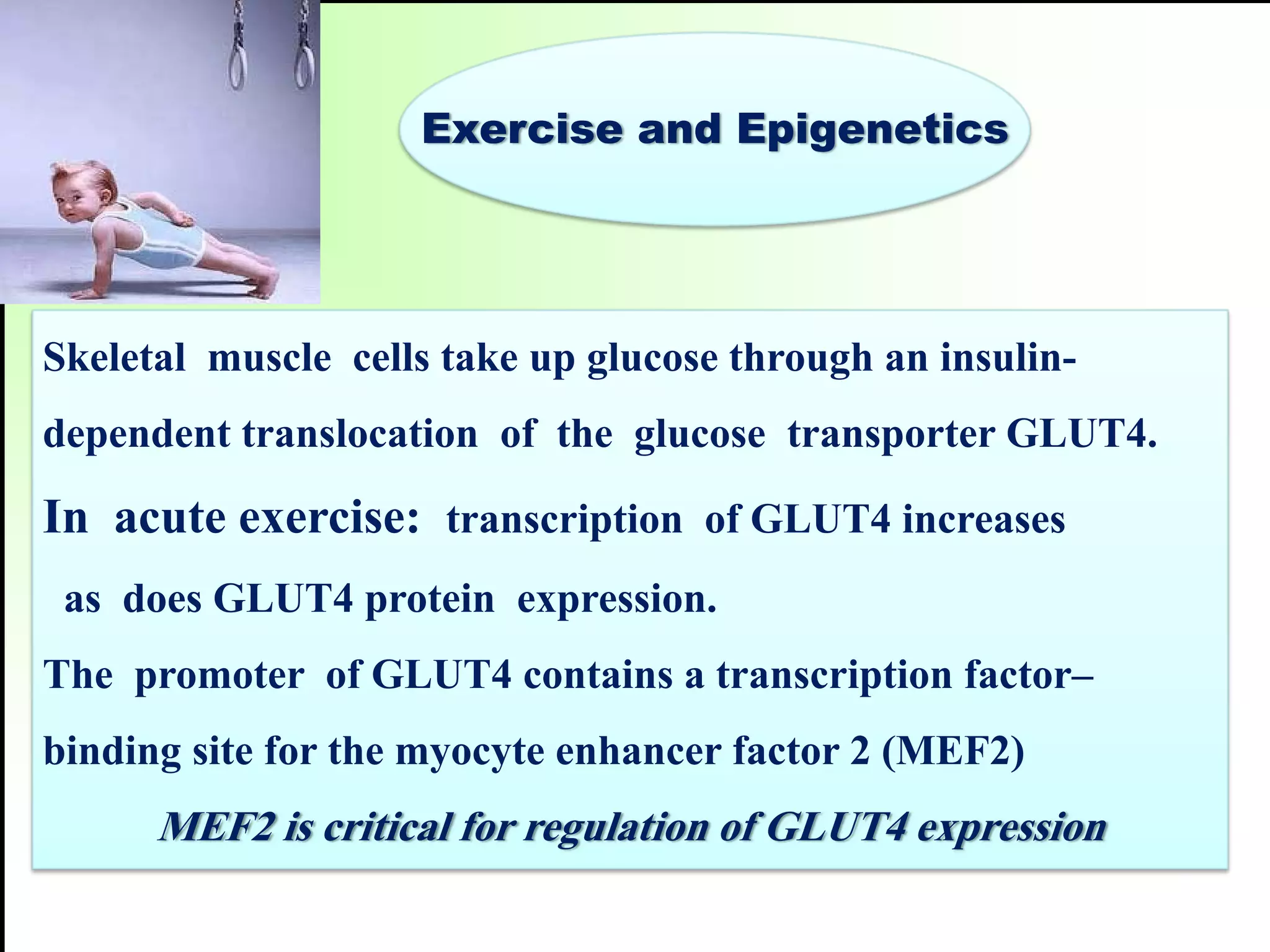 Epigenetics and type 2 diabetes | PDF