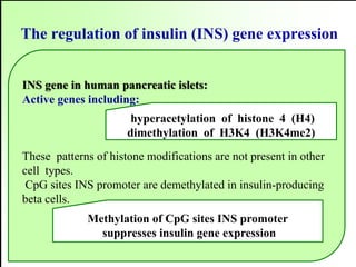Epigenetics and type 2 diabetes | PDF