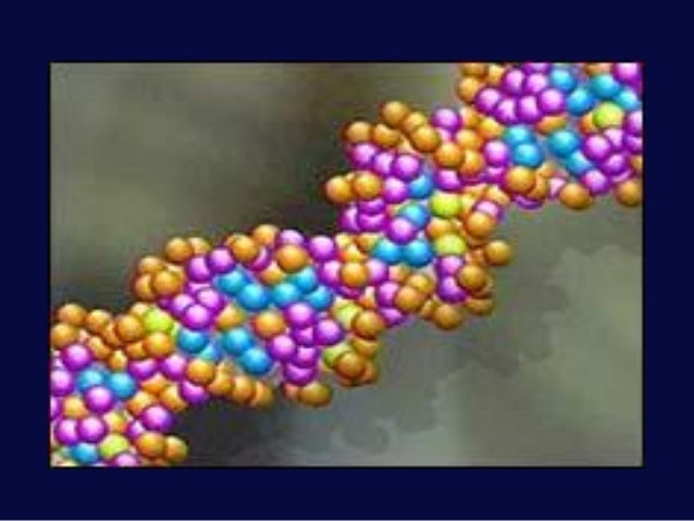 Epigenetics Vs Genetics Epigenetics Vs Genetics
