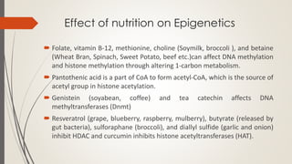 Epigenetics : overview and concepts | PPTX