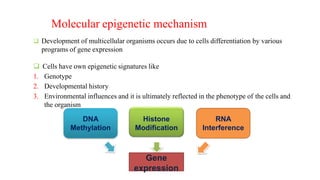 Plant Epigenetics in crop Improvement | PPTX