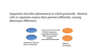 Plant Epigenetics in crop Improvement | PPTX