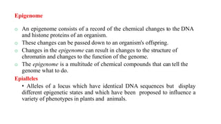Plant Epigenetics in crop Improvement | PPTX